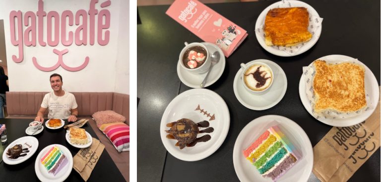 Gato Café despertando nossa paixão por gatos - Panorama de Viagem